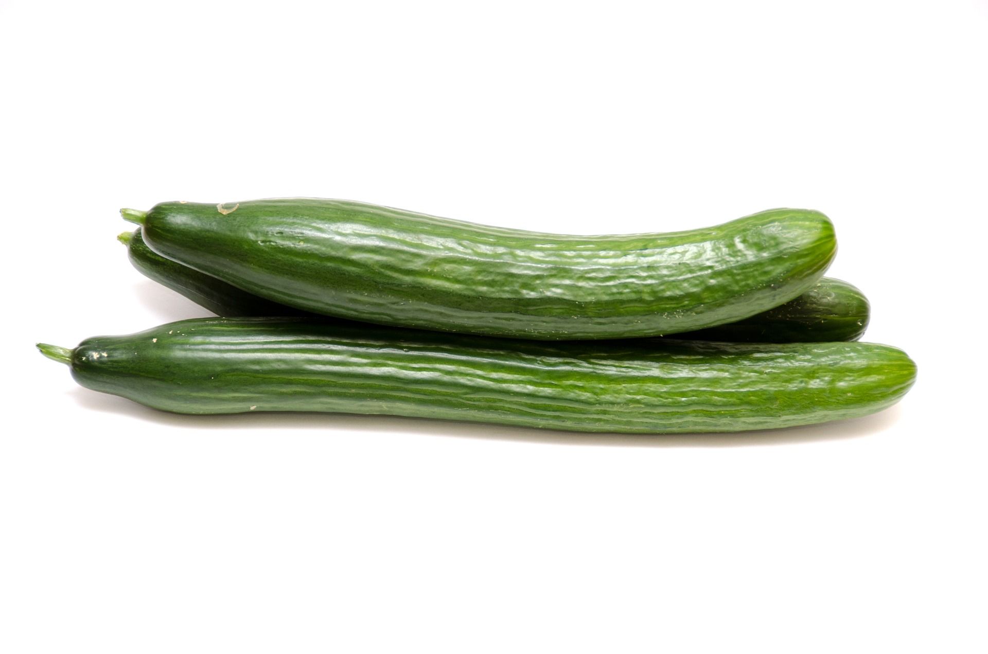 Okurka, okurka setá, Cucumis sativus